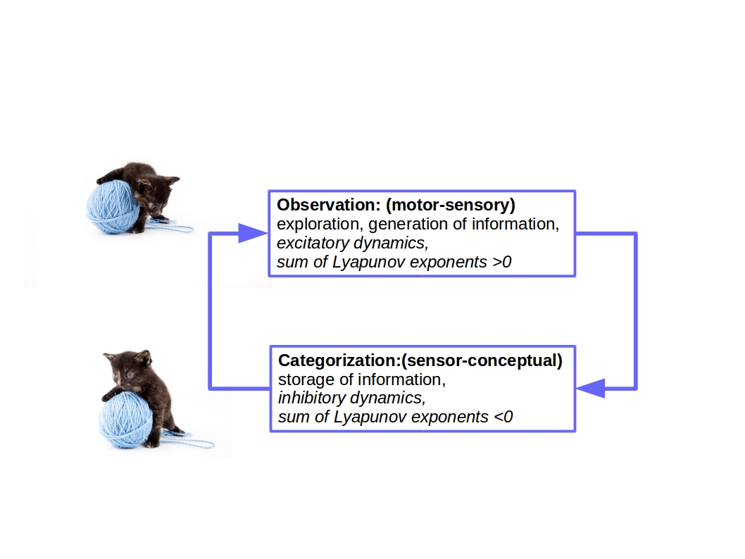 Chaotic Dynamics in Biological Information Processing: Revisiting and ...